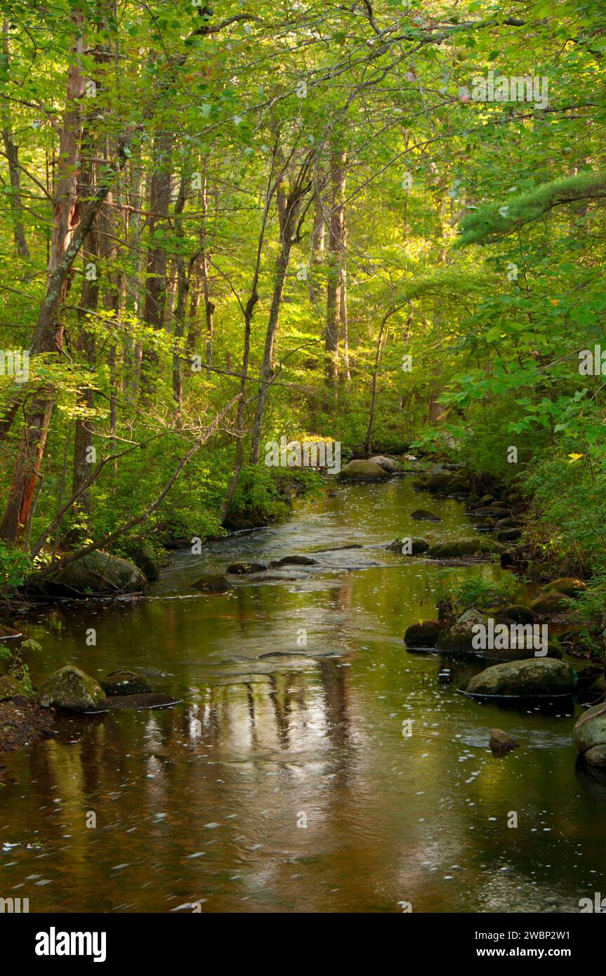 Breakheart trail hi-res stock photography and images - Alamy