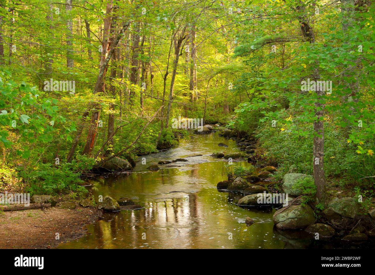 Breakheart Brook, Arcadia Management Area, Rhode Island Stock Photo - Alamy