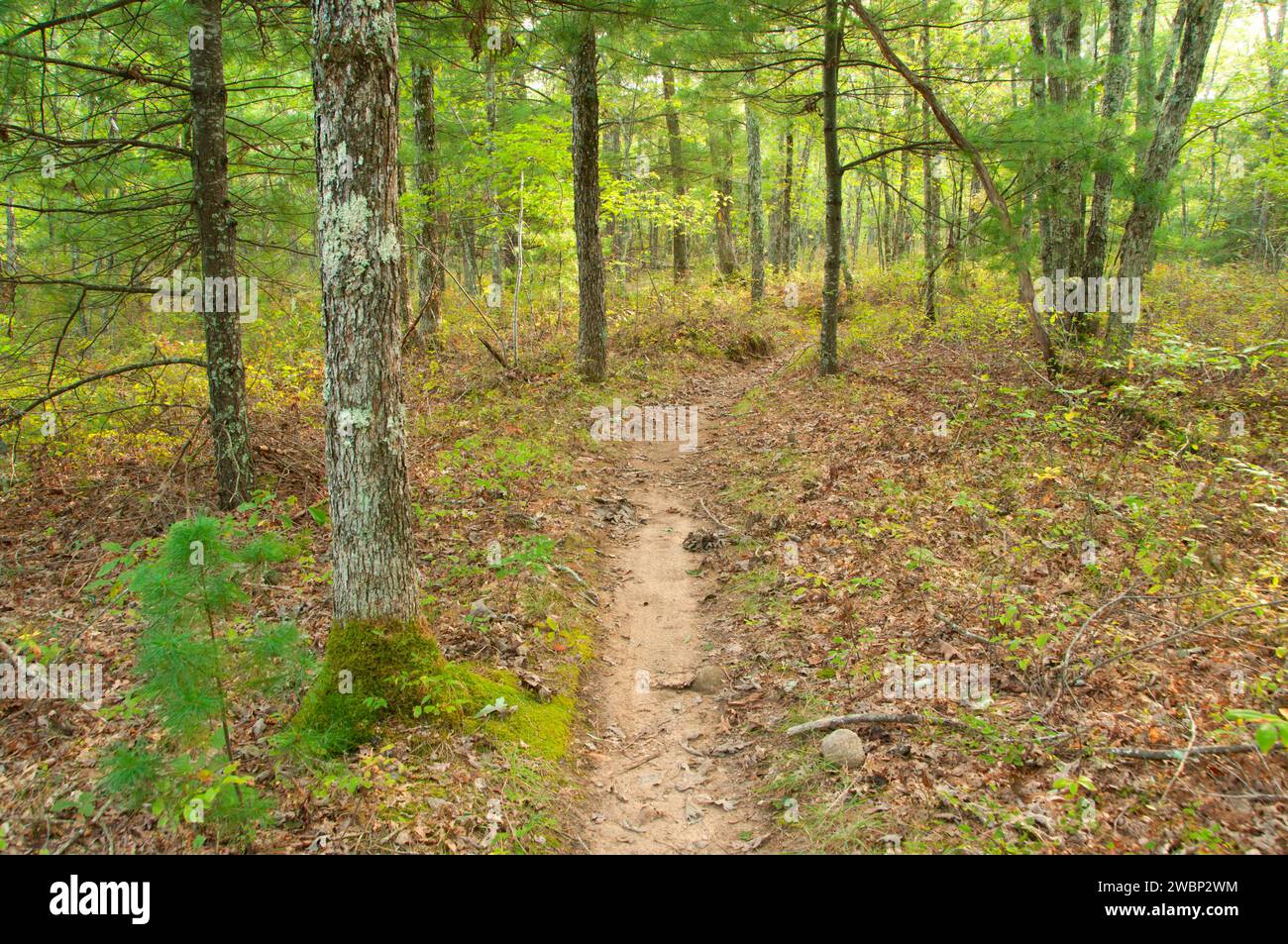 Breakheart trail hi-res stock photography and images - Alamy