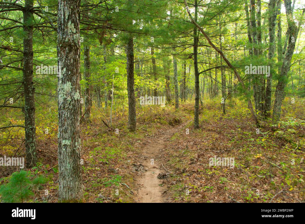 Breakheart trail hi-res stock photography and images - Alamy