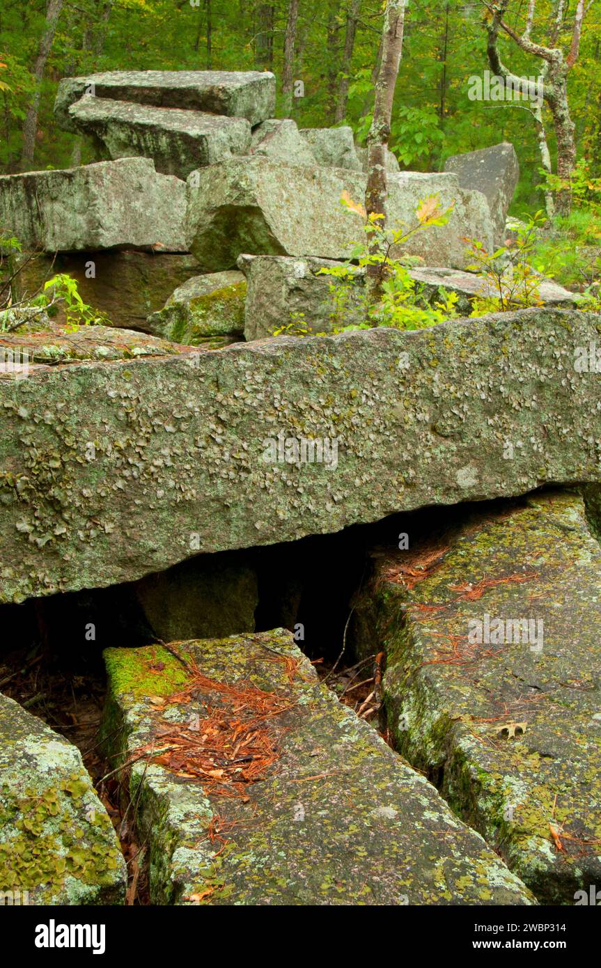 Arcadia management area hi-res stock photography and images - Alamy