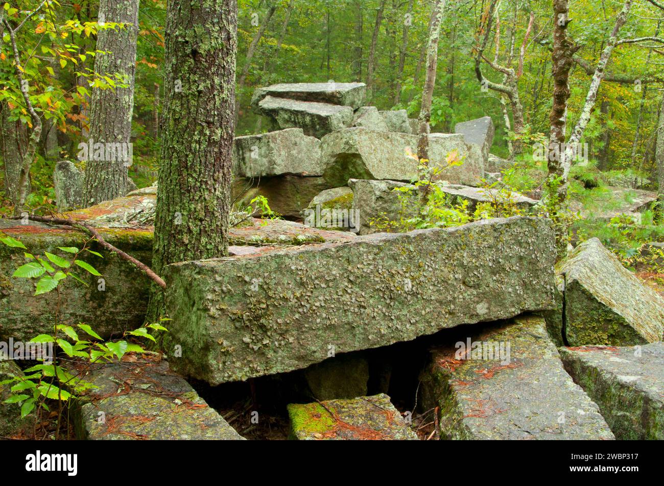 River island outcrop rocks hi-res stock photography and images - Alamy