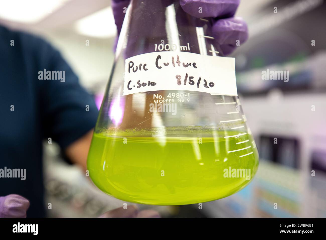 Anaerobic membrane bioreactor hi-res stock photography and images - Alamy