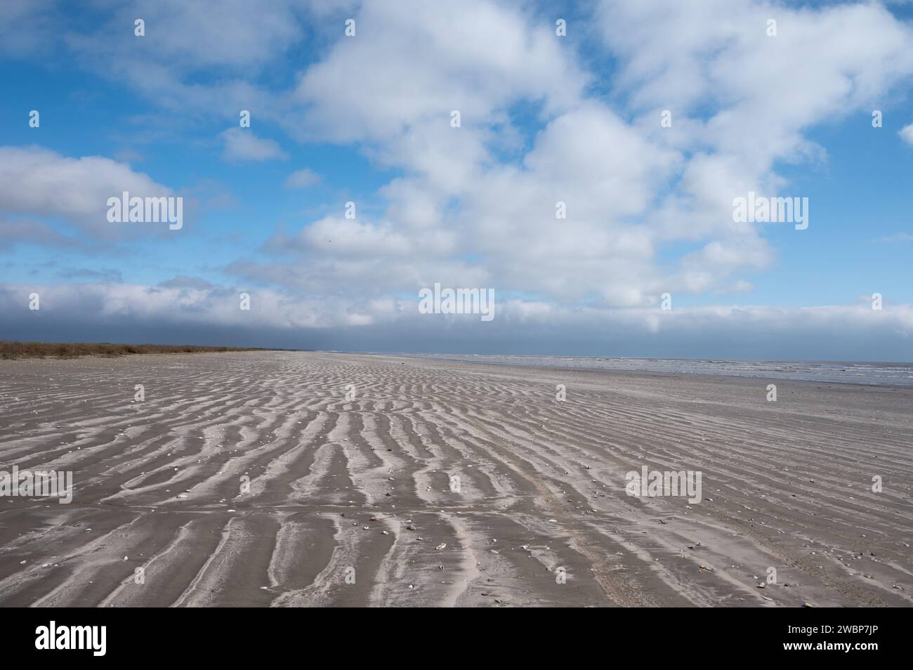 Sea Rim State Park lies at the easternmost point along the Texas ...