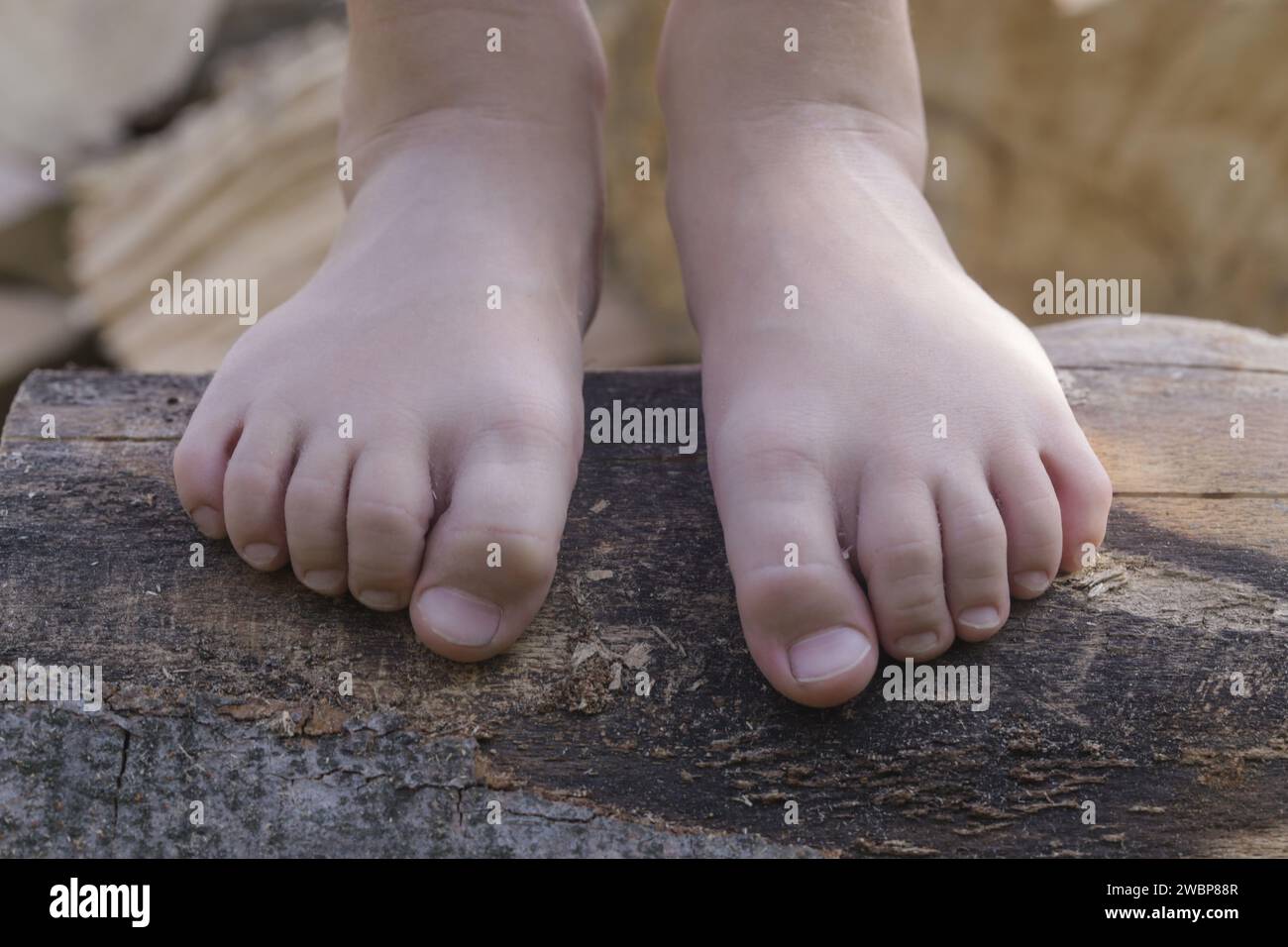 Child feet on wood log, barefoot little girl on tree trunk, countryside ...