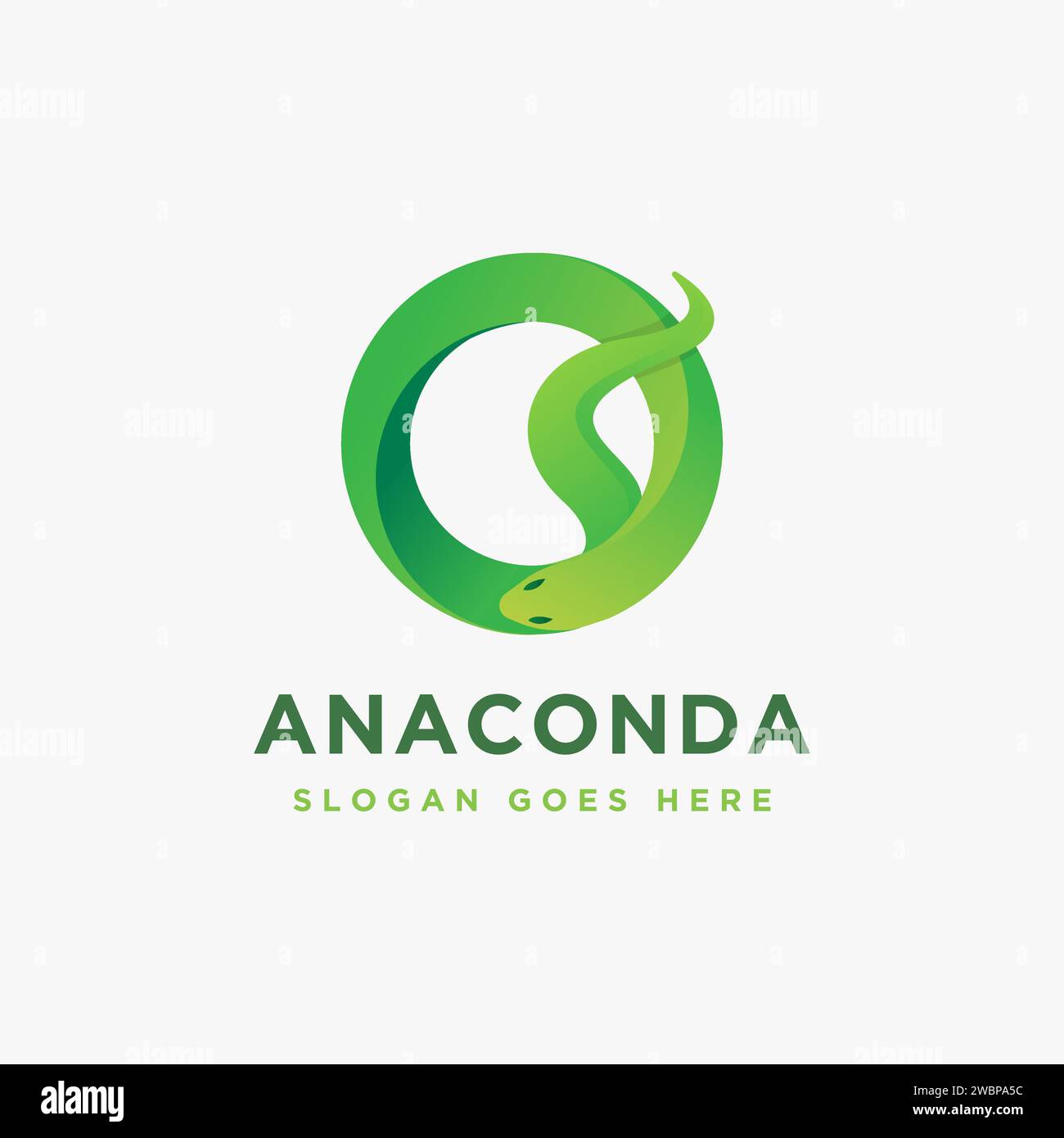 Abstract geometric Anaconda snake logo icon vector on white background ...