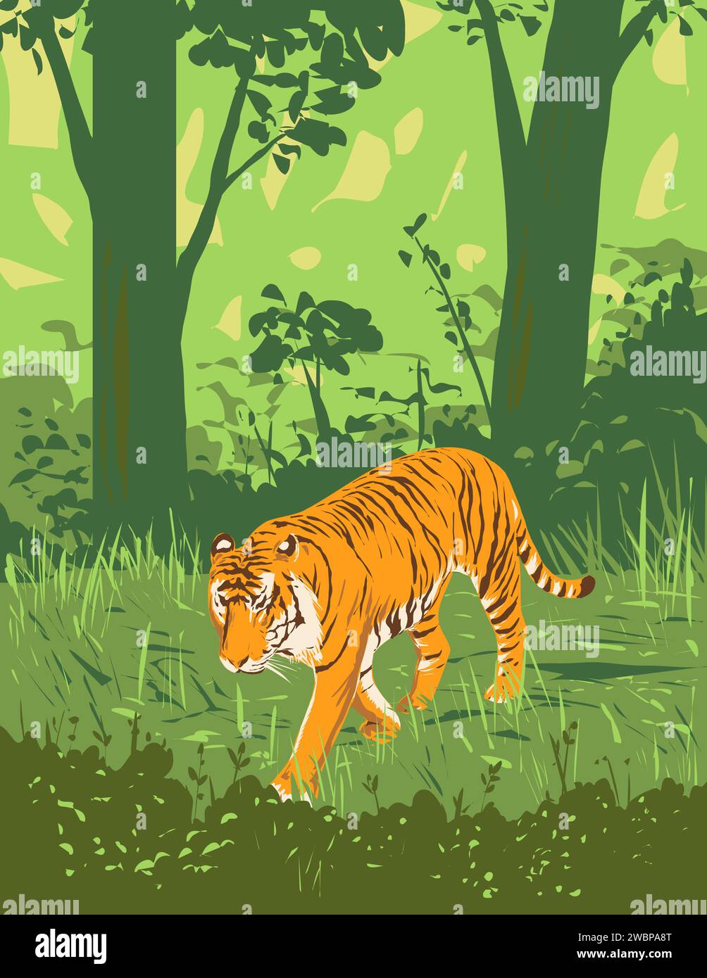 Art Deco or WPA poster of a tiger or Panthera tigris prowling in Kanha ...