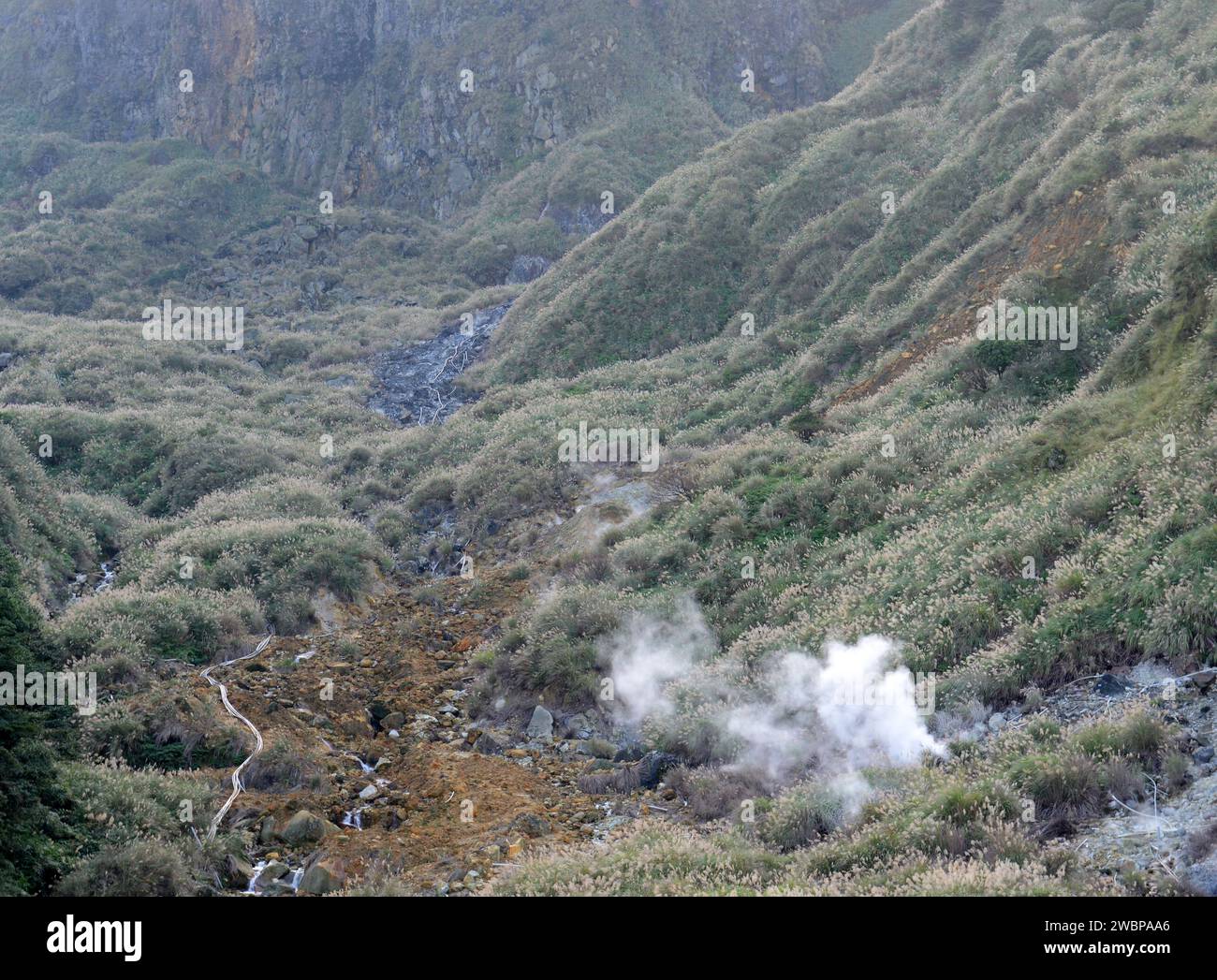 Sulphur steam erupting from the gound at Yangmingshan National Park in ...