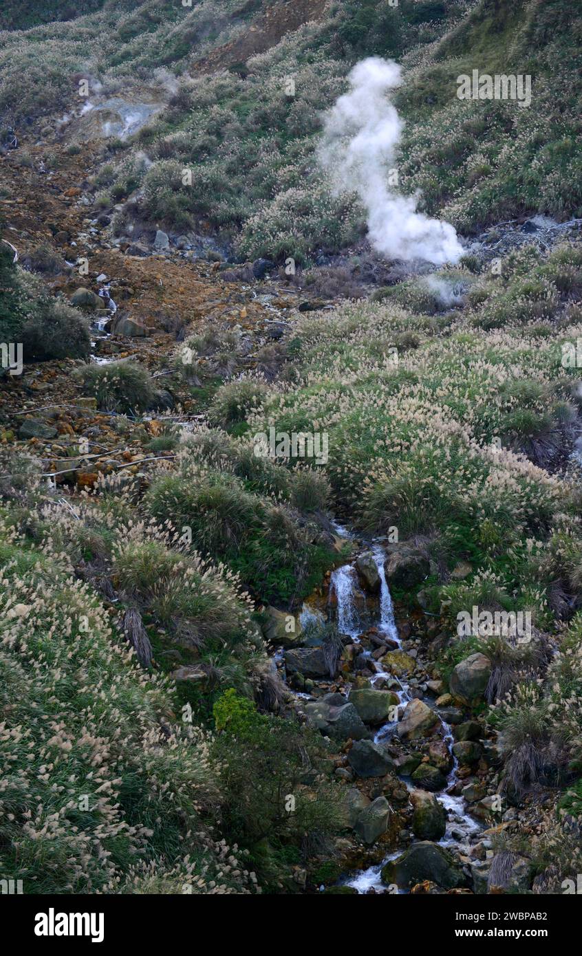 Sulphur steam erupting from the gound at Yangmingshan National Park in ...
