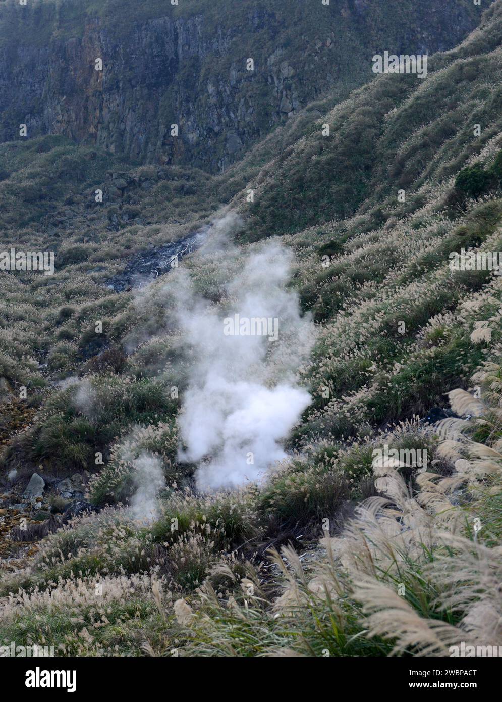 Sulphur steam erupting from the gound at Yangmingshan National Park in ...