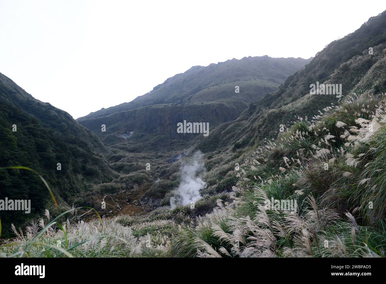 Sulphur steam erupting from the gound at Yangmingshan National Park in ...