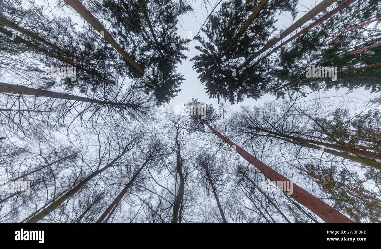 PRODUCTION - 10 January 2024, Mecklenburg-Western Pomerania, Lüdersdorf ...