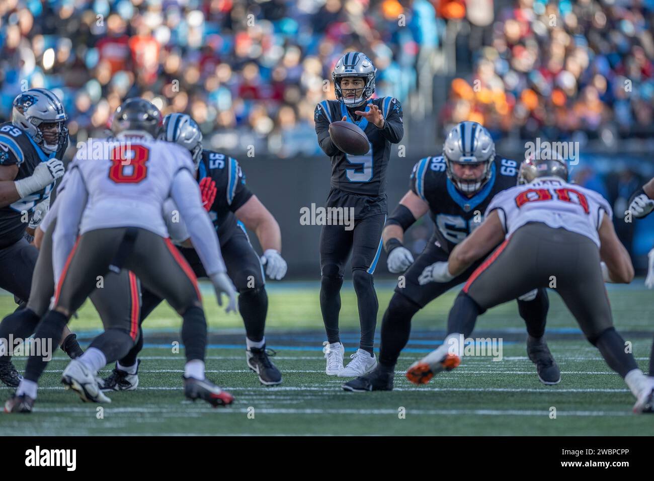 Charlotte, NC USA: Carolina Panthers quarterback Bryce Young (9) gets ...