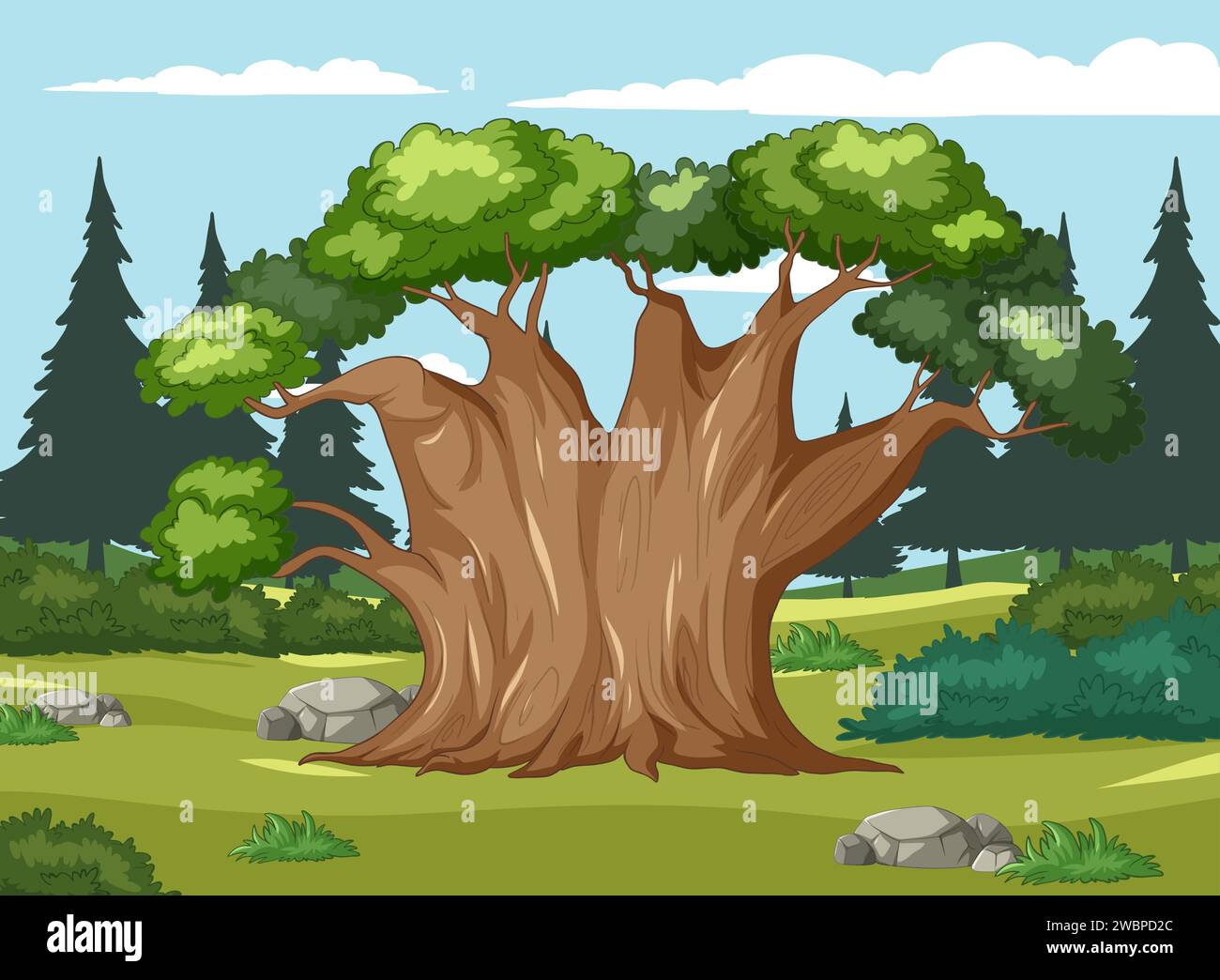 Canopy branches Stock Vector Images - Alamy