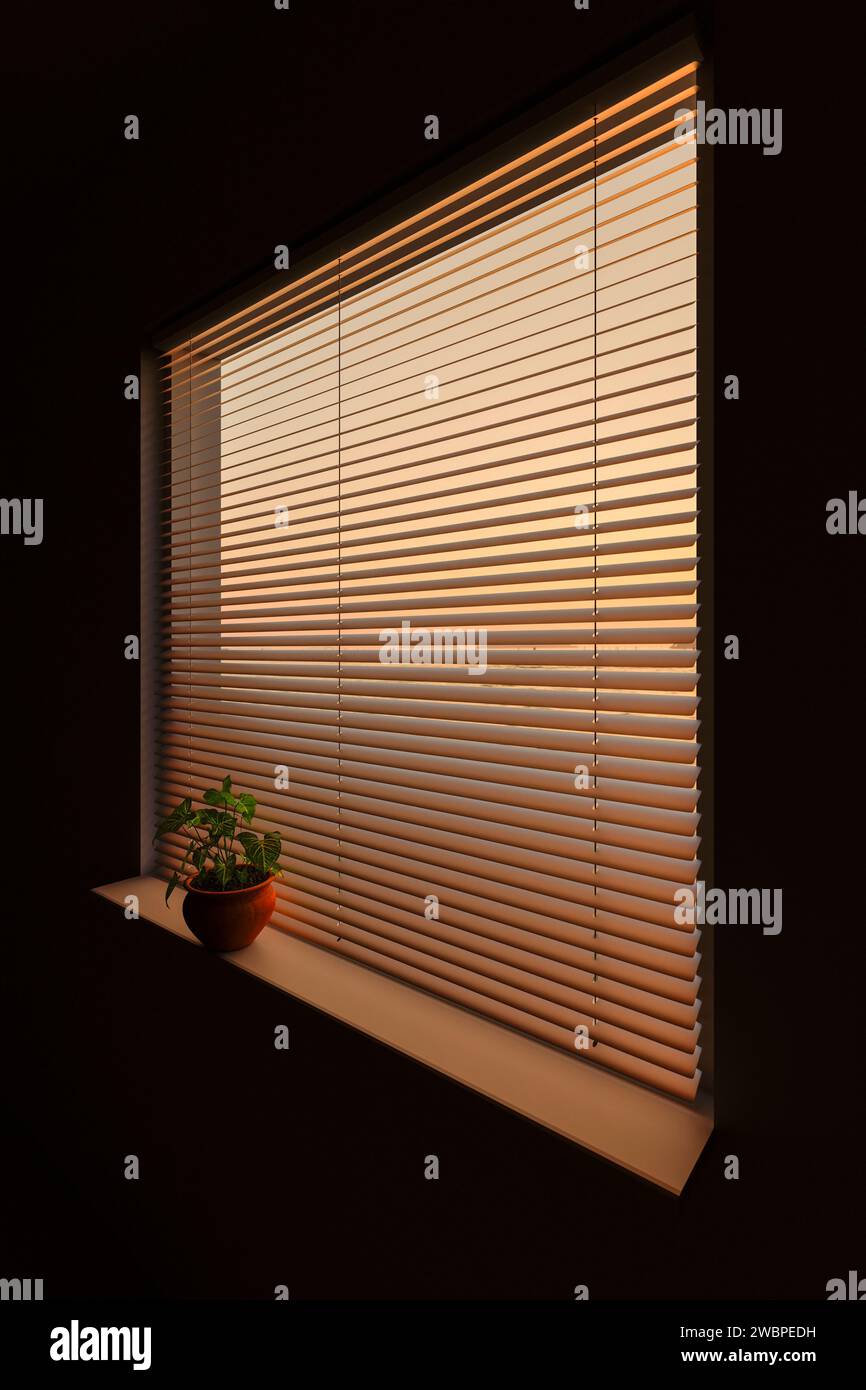 The setting sun shines through the closed horizontal blinds Stock Photo ...