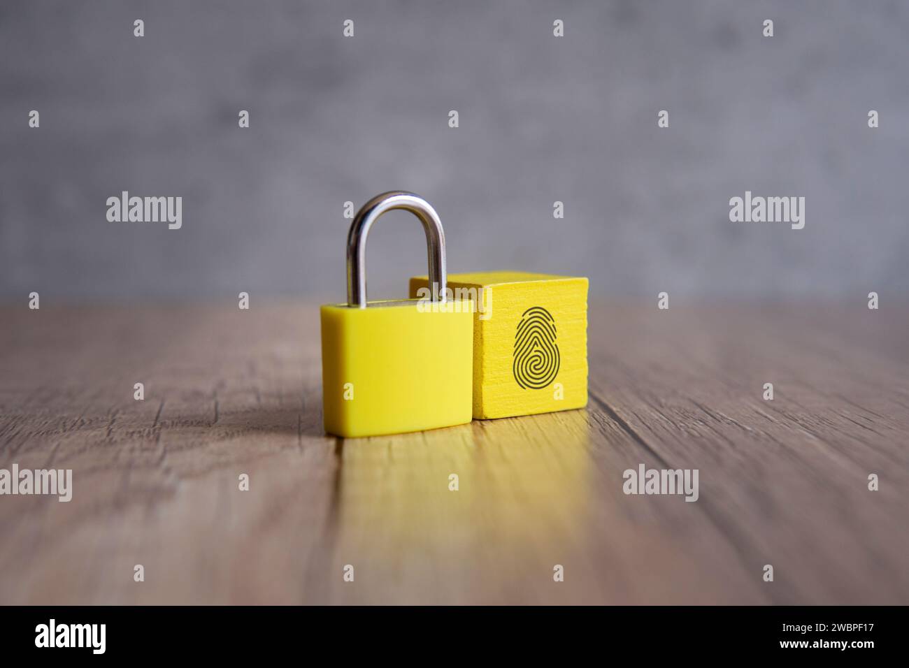 Security padlock icon fingerprint hi-res stock photography and images ...
