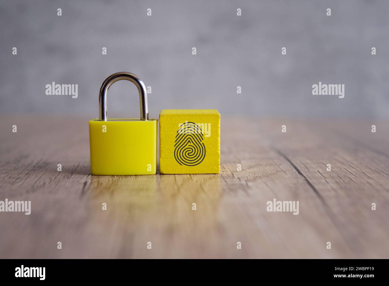 Biometric authentication identification hi-res stock photography and ...