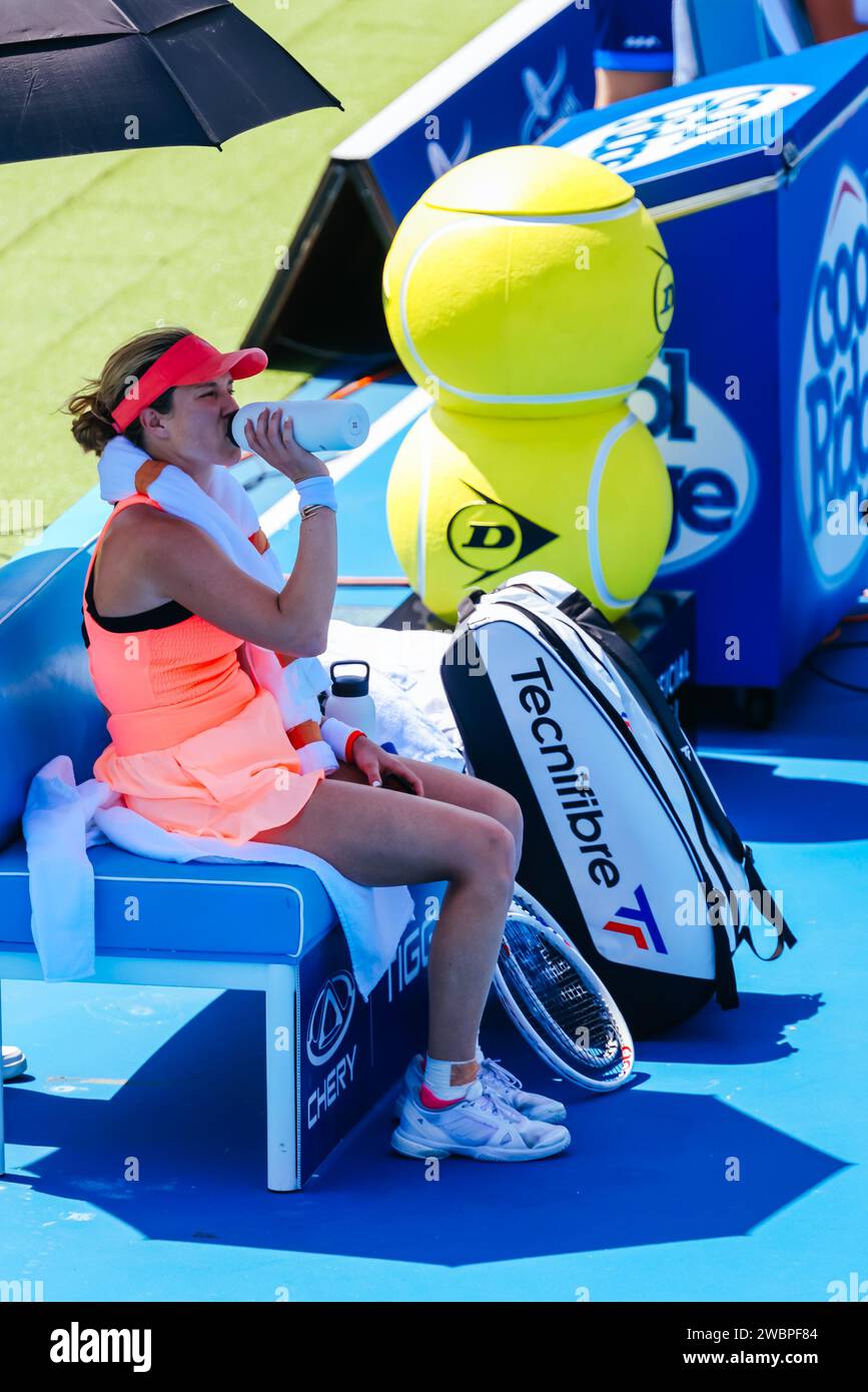 Melbourne, Victoria, Australia. 12th Jan, 2024. MELBOURNE, AUSTRALIA ...