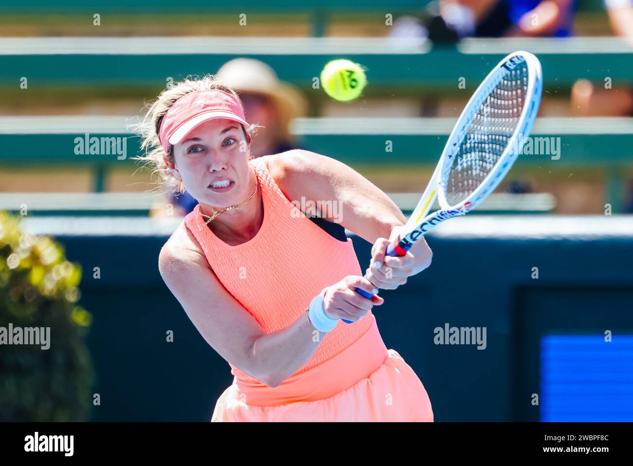 Melbourne, Victoria, Australia. 12th Jan, 2024. MELBOURNE, AUSTRALIA ...