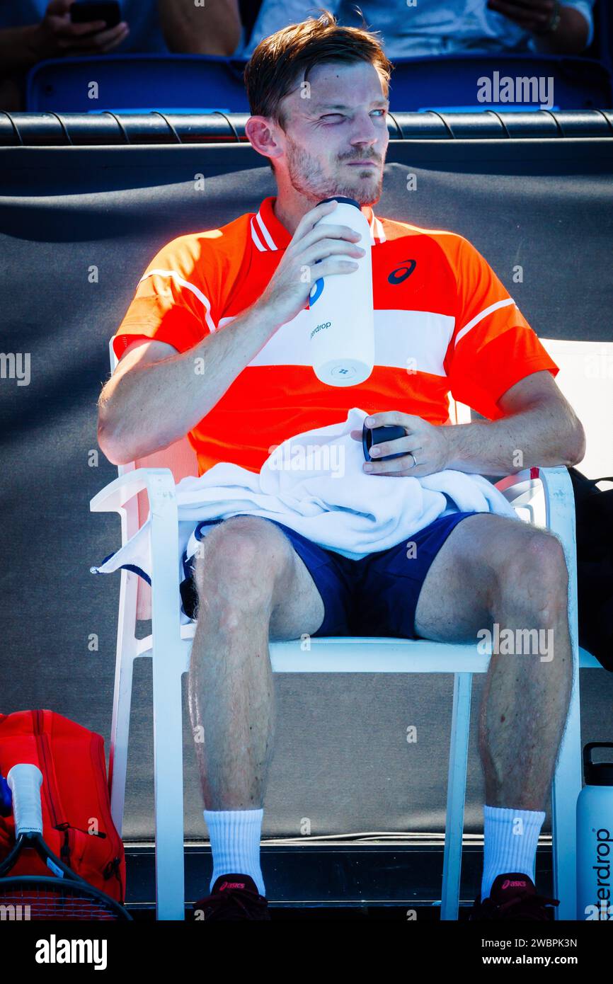 Melbourne, Australia. 12th Jan, 2024. Belgian David Goffin pictured ...