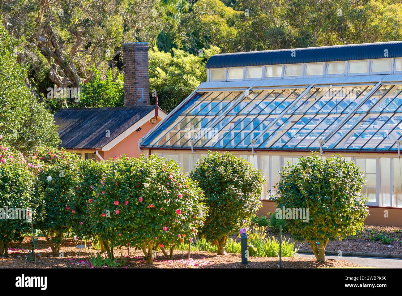 The Sydney Fernery in The Royal Botanic Gardens, Sydney, Australia ...