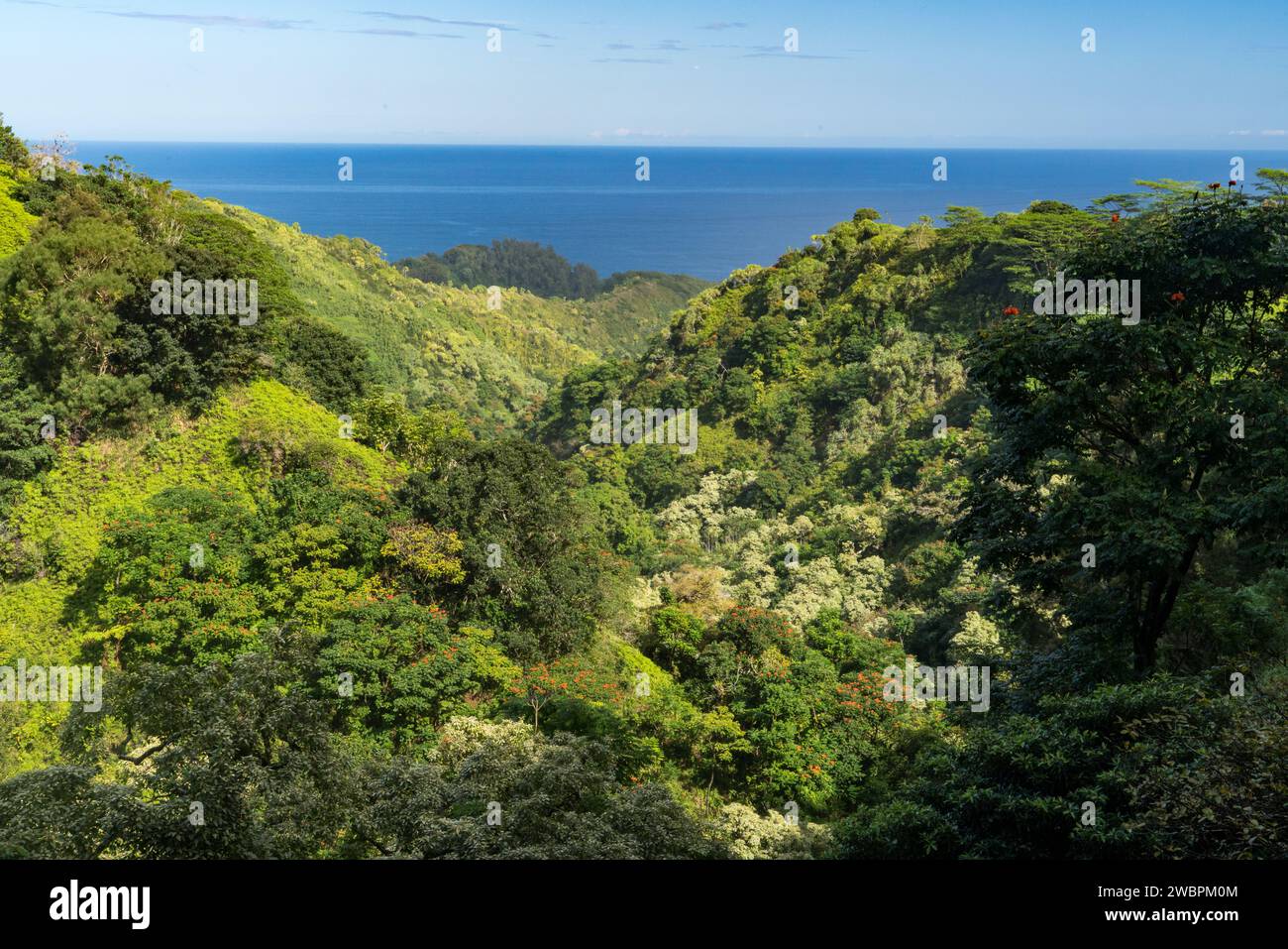 Expansive view of Maui's verdant landscape with a distant ocean ...