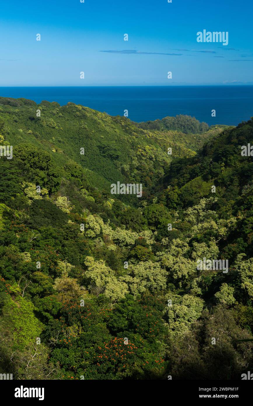 Expansive view of Maui's verdant landscape with a distant ocean ...
