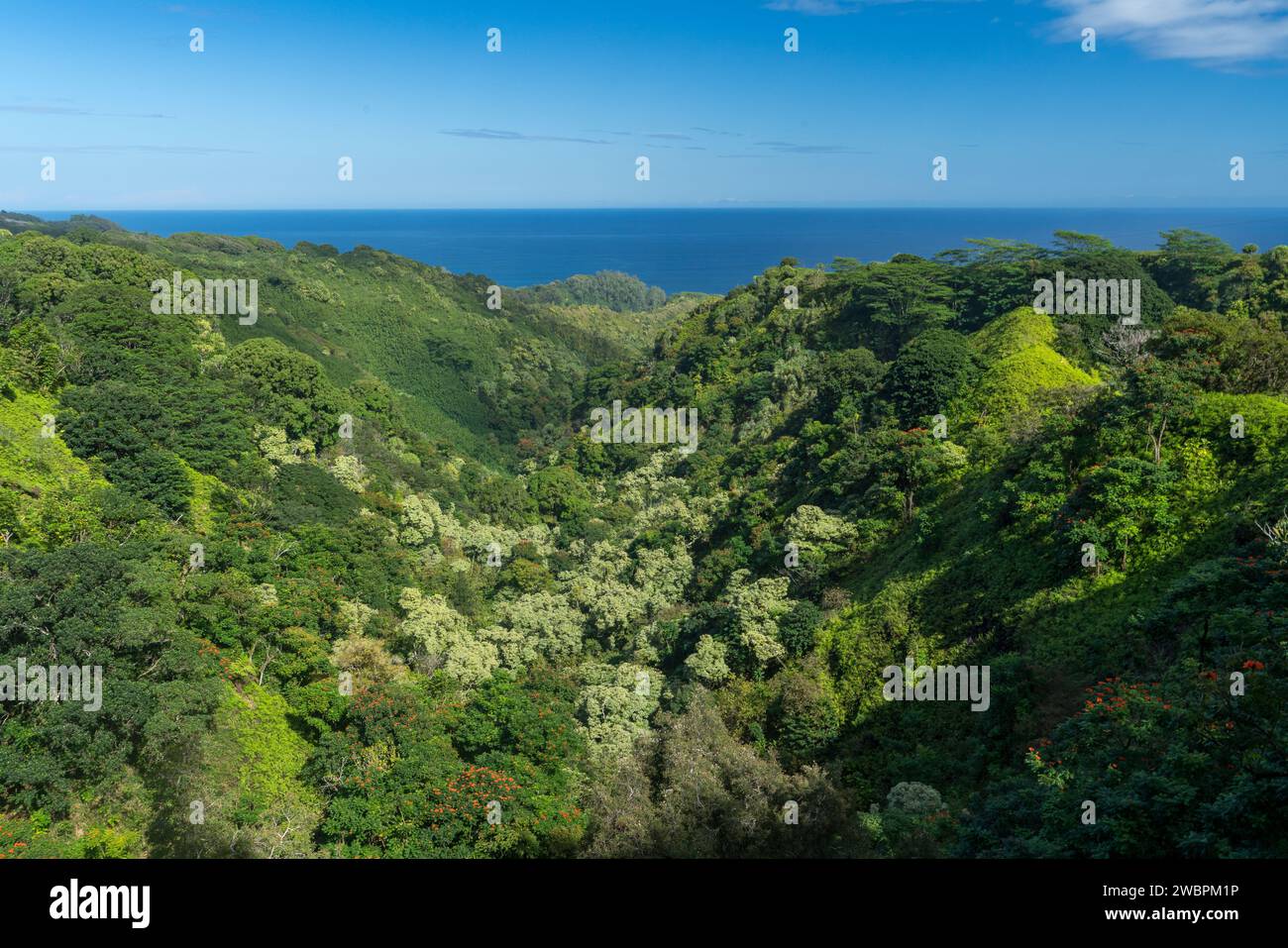 Expansive view of Maui's verdant landscape with a distant ocean ...