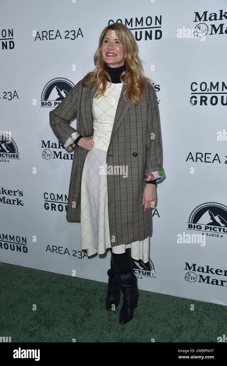 Laura Dern arrives at the premiere of "Common Ground" on Thursday, Jan ...
