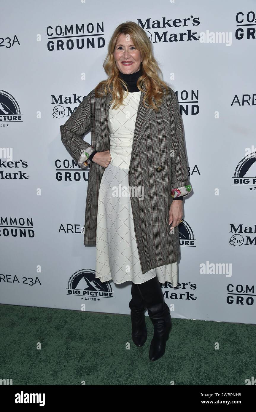 Laura Dern arrives at the premiere of "Common Ground" on Thursday, Jan ...