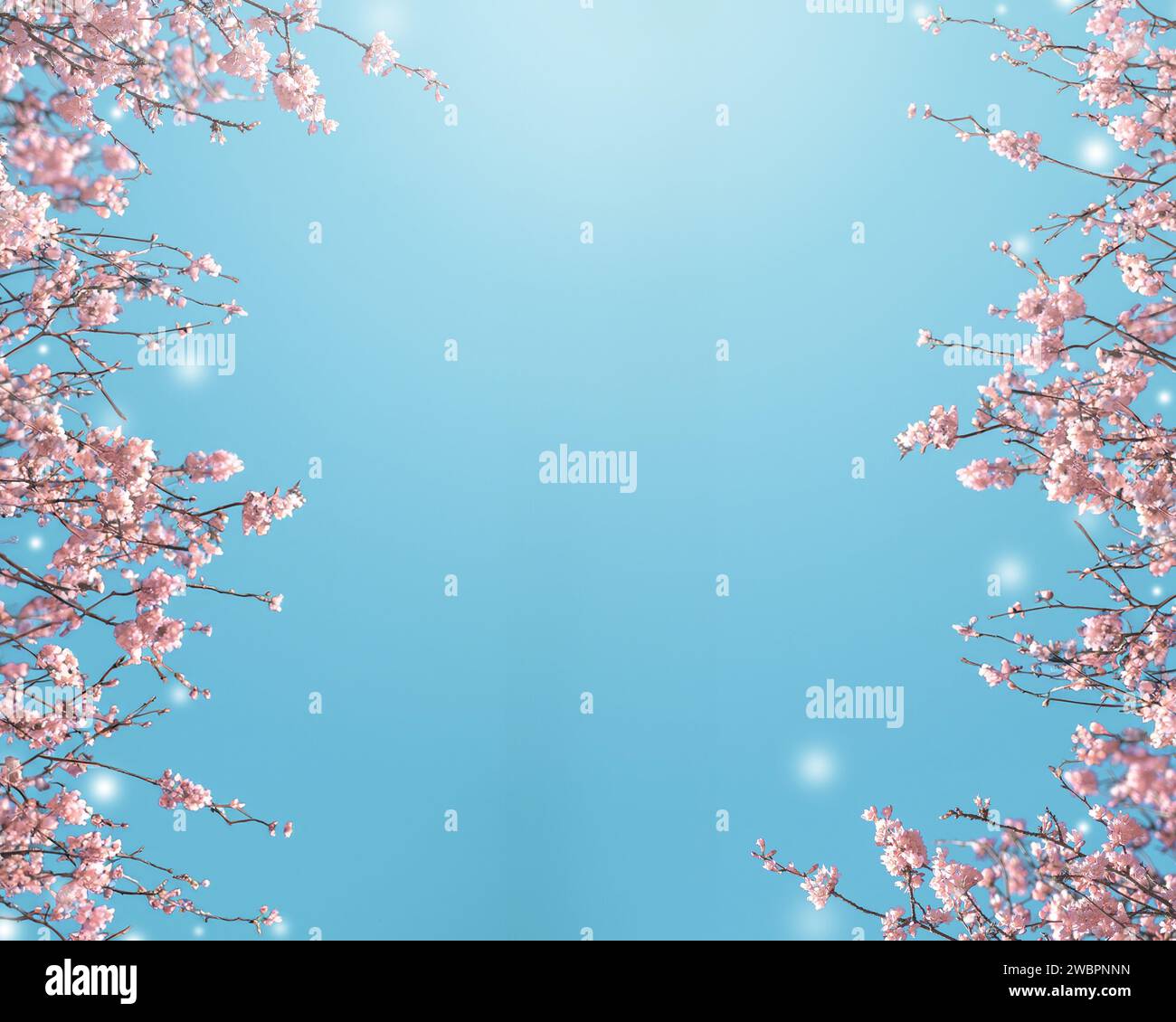 Flower and light; background or texture; spring concept Stock Photo - Alamy