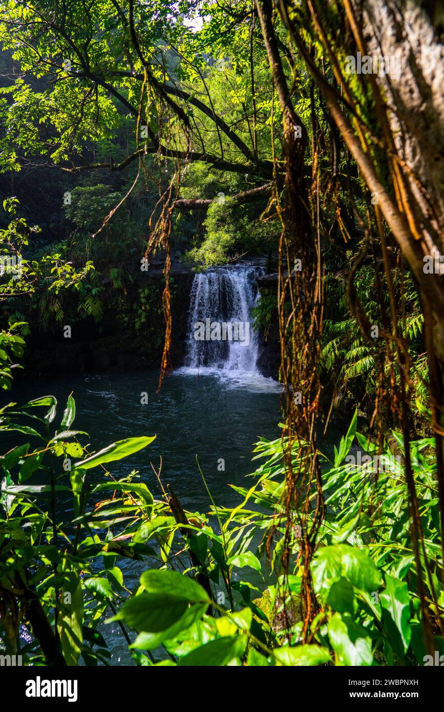 Hidden gem: The serene Haipua'ena Falls on Maui surrounded by lush ...