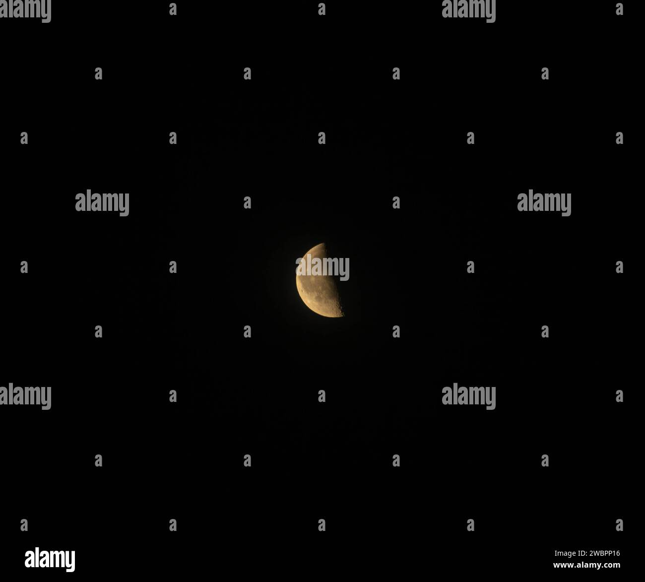 Half earth moon close up lit on one side showing craters with a black ...
