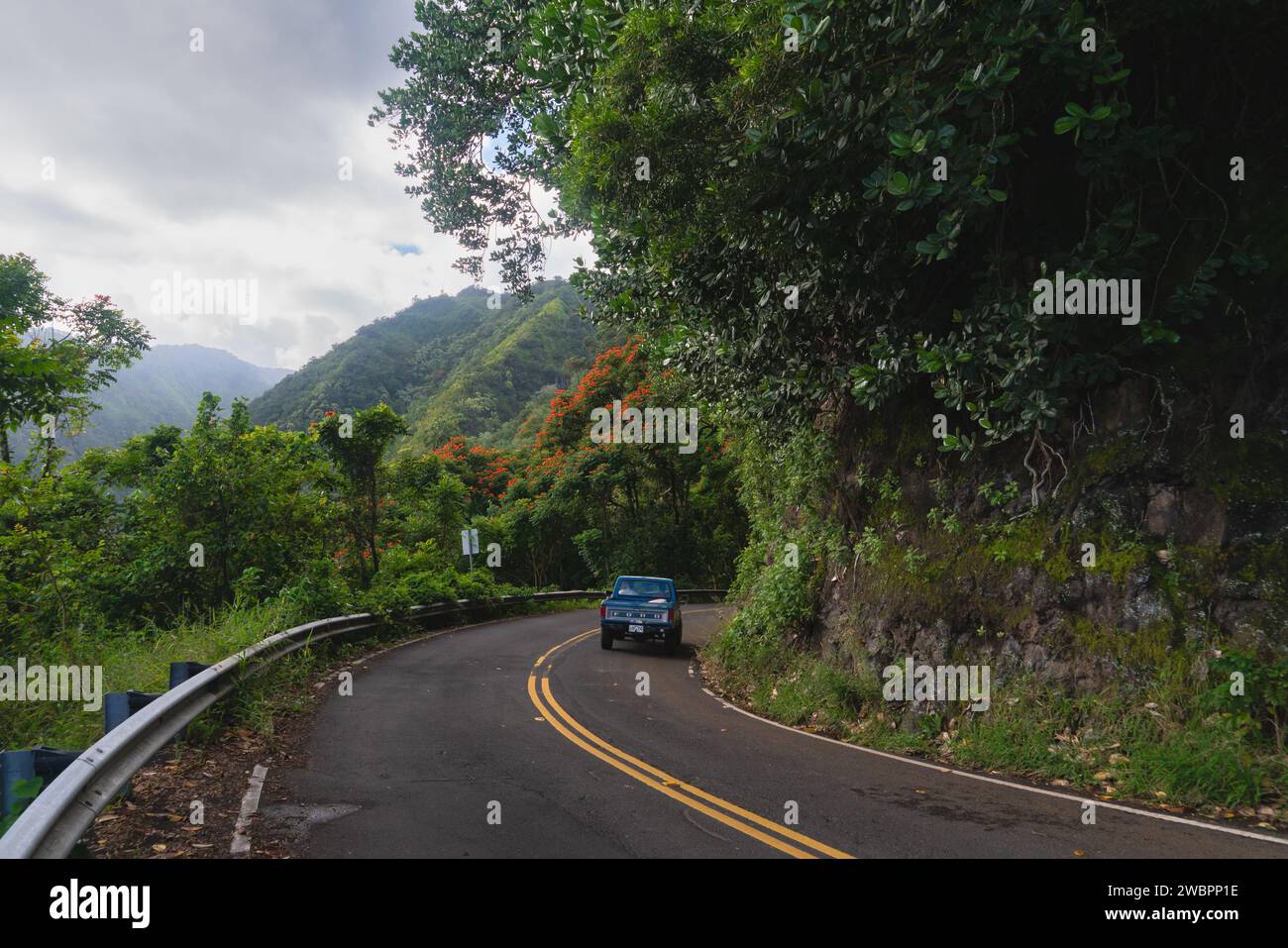 Journey through the lush landscapes of Maui on the winding Road to Hana ...