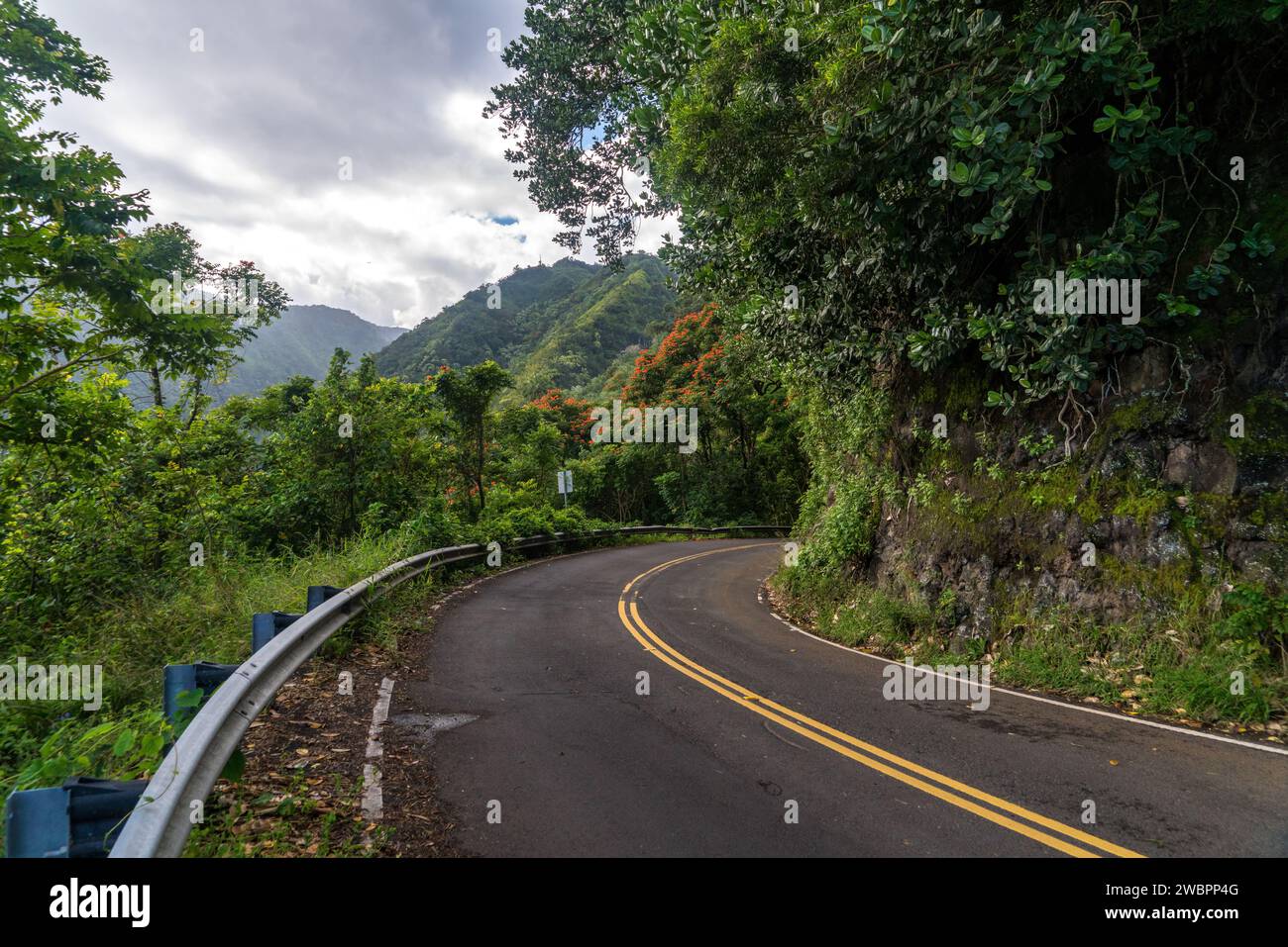 Explore the essence of Maui on the iconic Road to Hana, where every ...