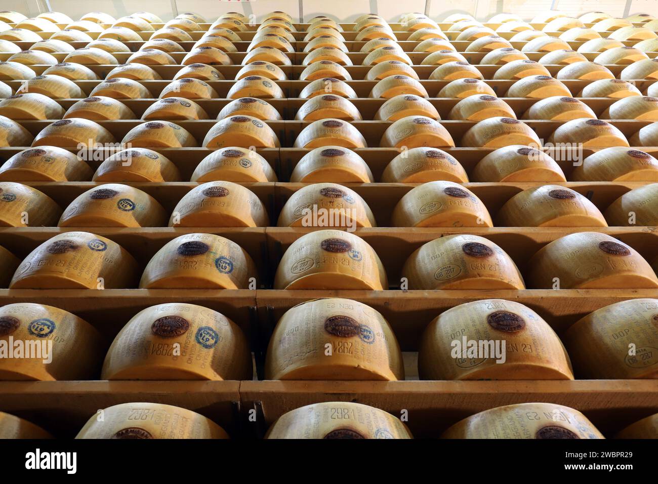 Storage warehouse of a producer of Parmigiano Reggiano cheese, Modena ...