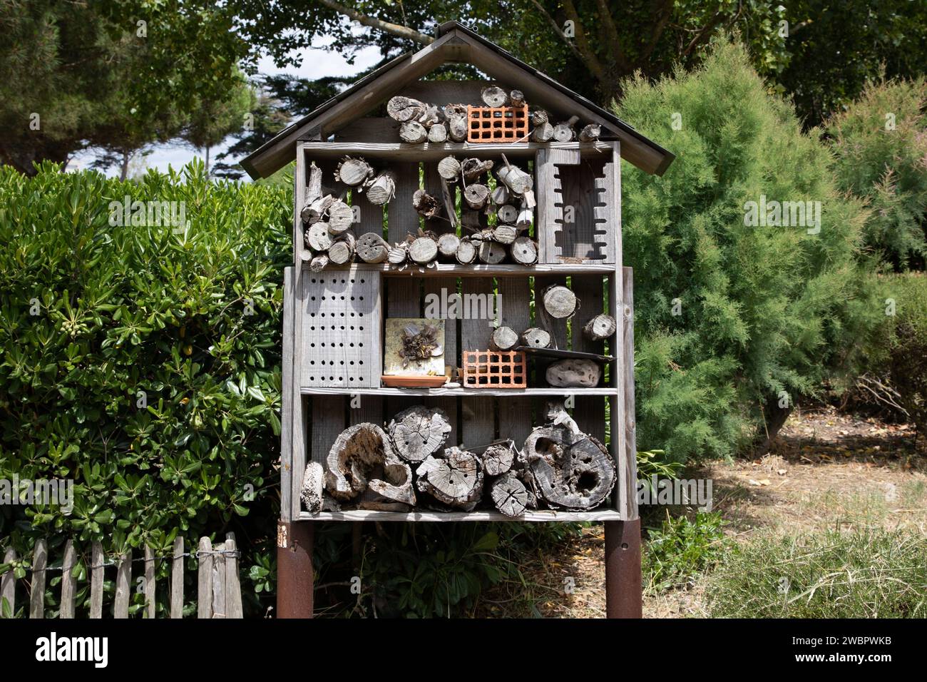 insect house hotel tree wooden hut bug hotel for butterfly bee and ...