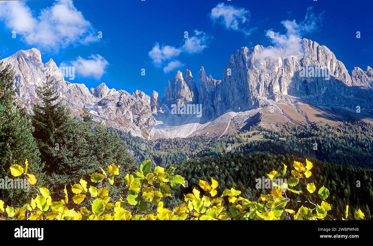 Violet tuerme hi-res stock photography and images - Alamy