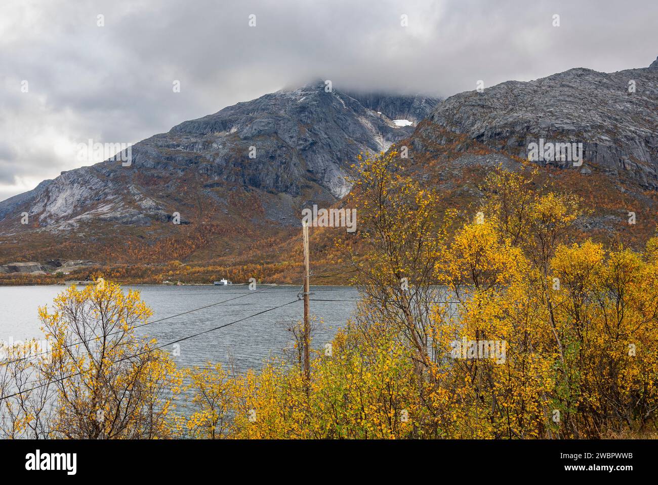 outdoor in wild nature from Norway with fjord, autumn colored trees ...