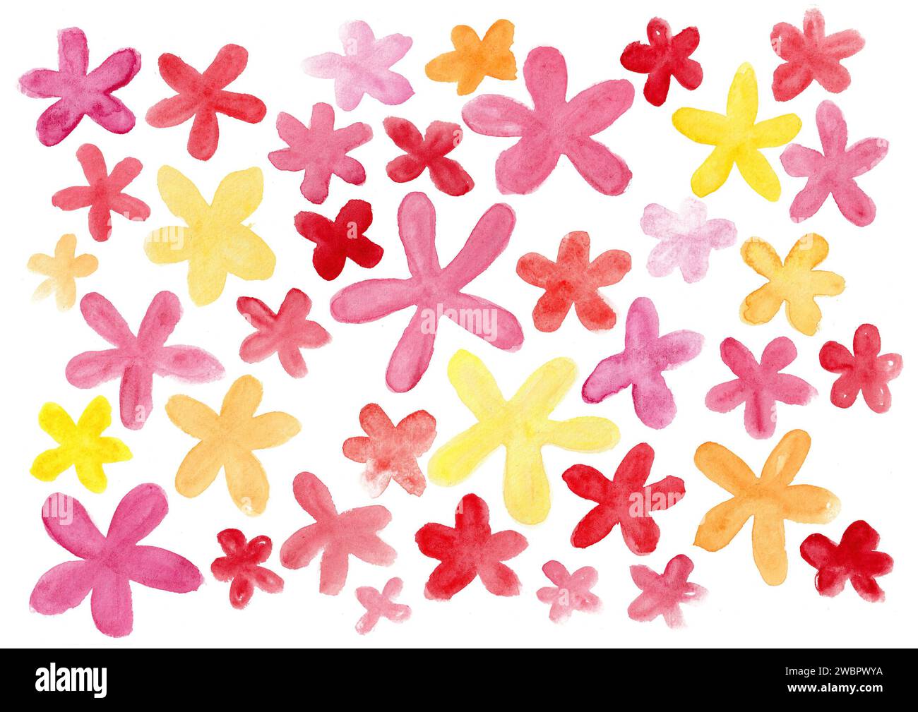 A set of flowers of different sizes and colors on a white background ...