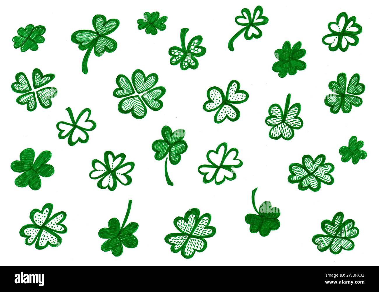 Set of clovers in doodle style. Green color on a white background ...
