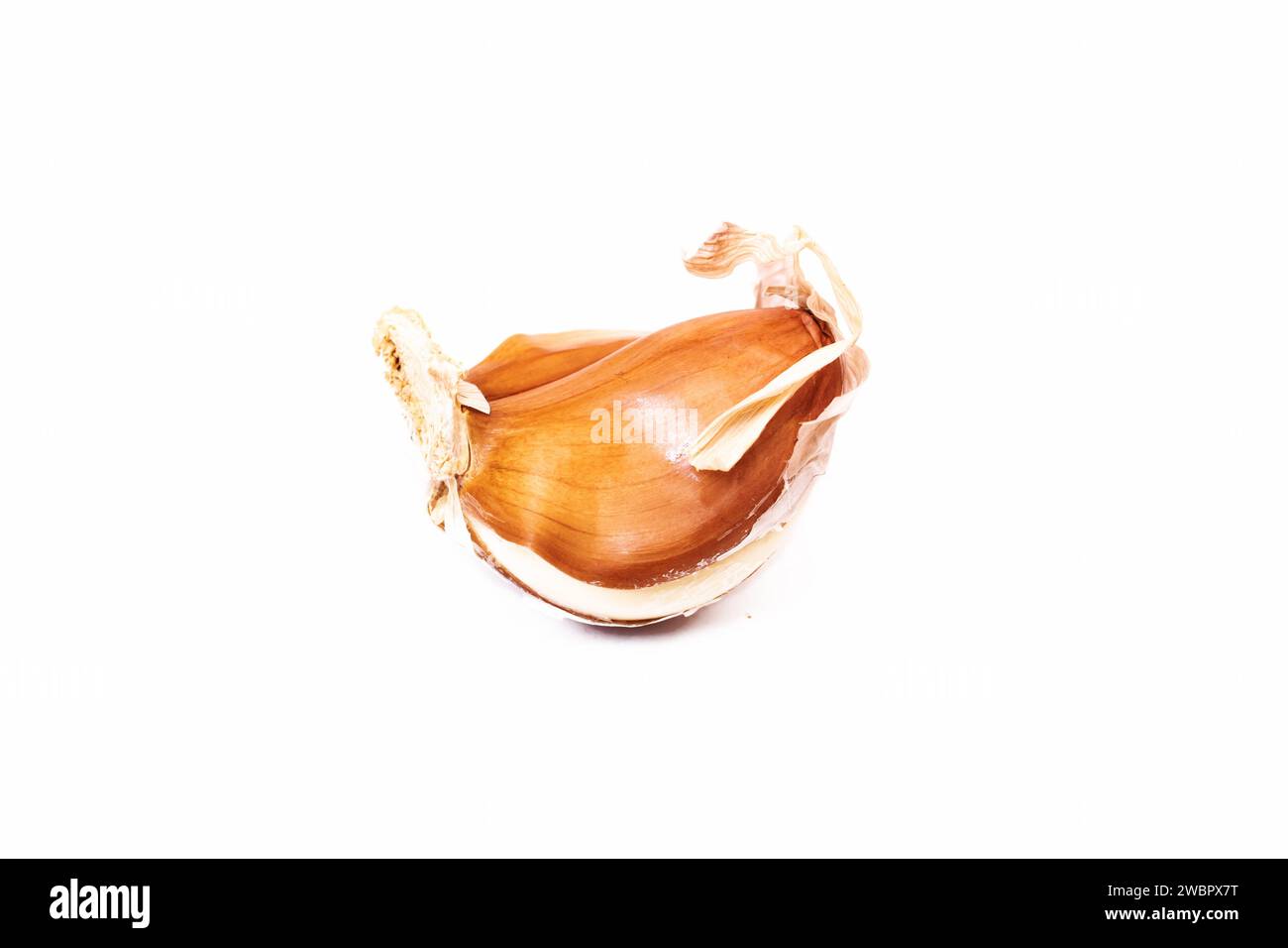 White garlic side view Cut Out Stock Images & Pictures - Alamy