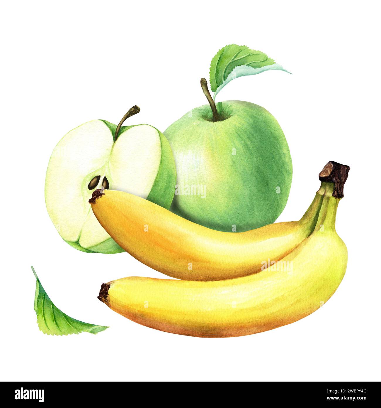 A composition with green apple and banana. Watercolor illustration ...