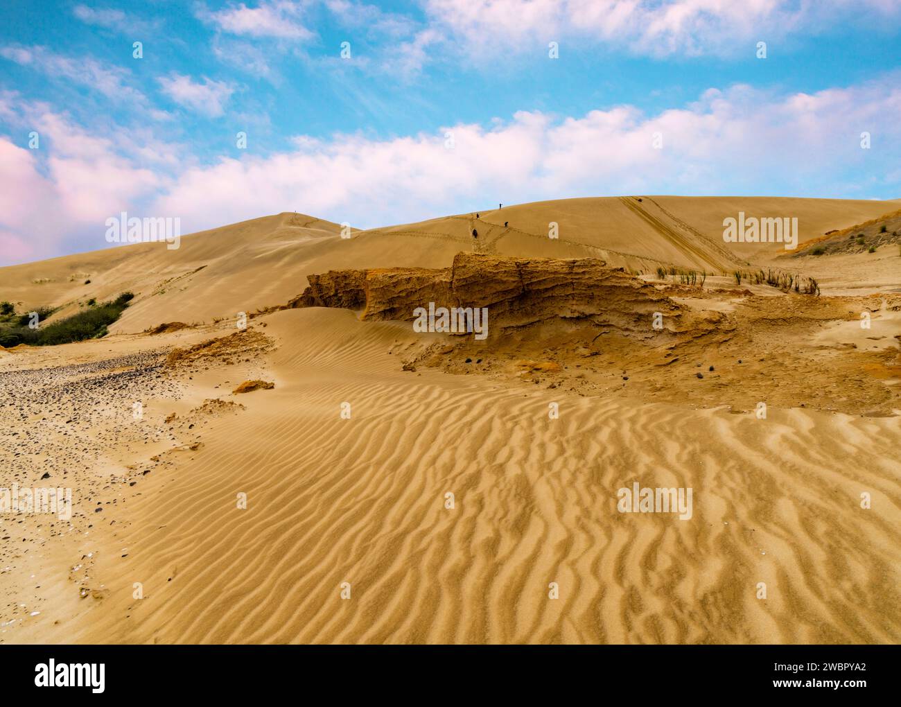 Te Paki Giant Sand Dunes, Cape Reinga, New Zealand Stock Photo - Alamy
