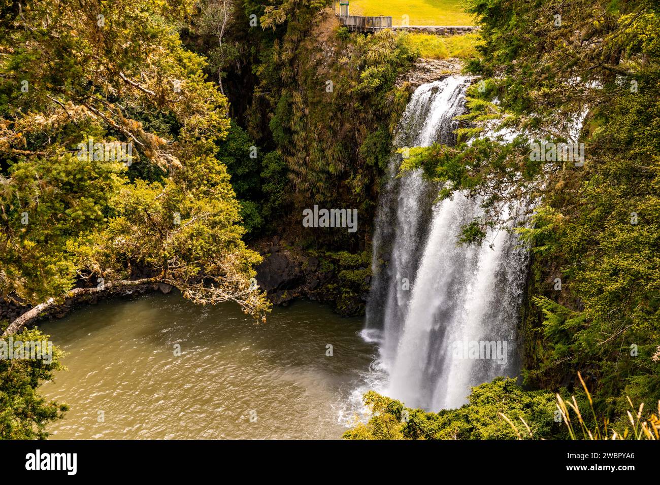 Nz whangarei hi-res stock photography and images - Alamy