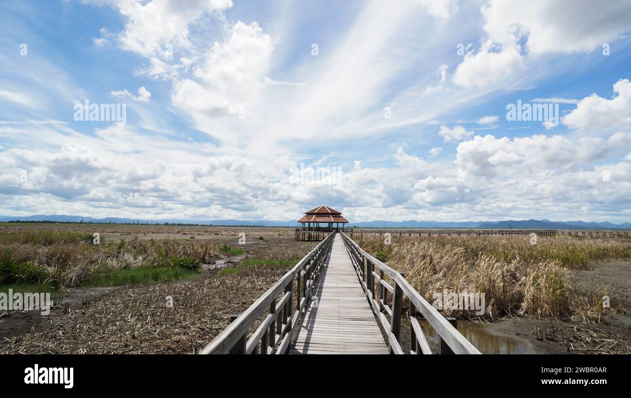 Beautiful wood walk way at Sam Roi Yot Freshwater Marsh or Bueng Bua ...