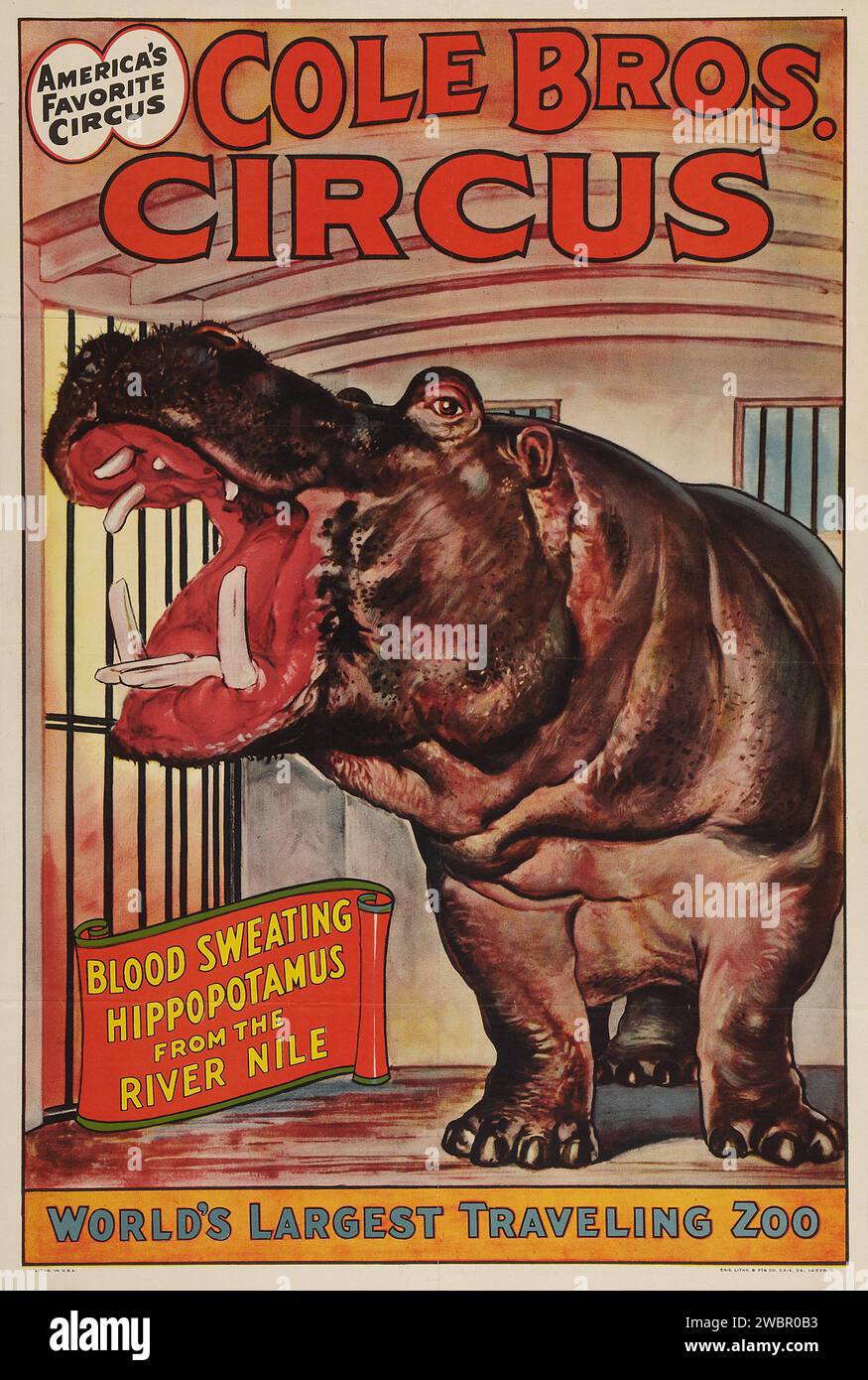 Cole Brothers Circus (Erie Litho, 1937) feat a hippopotamus from the ...