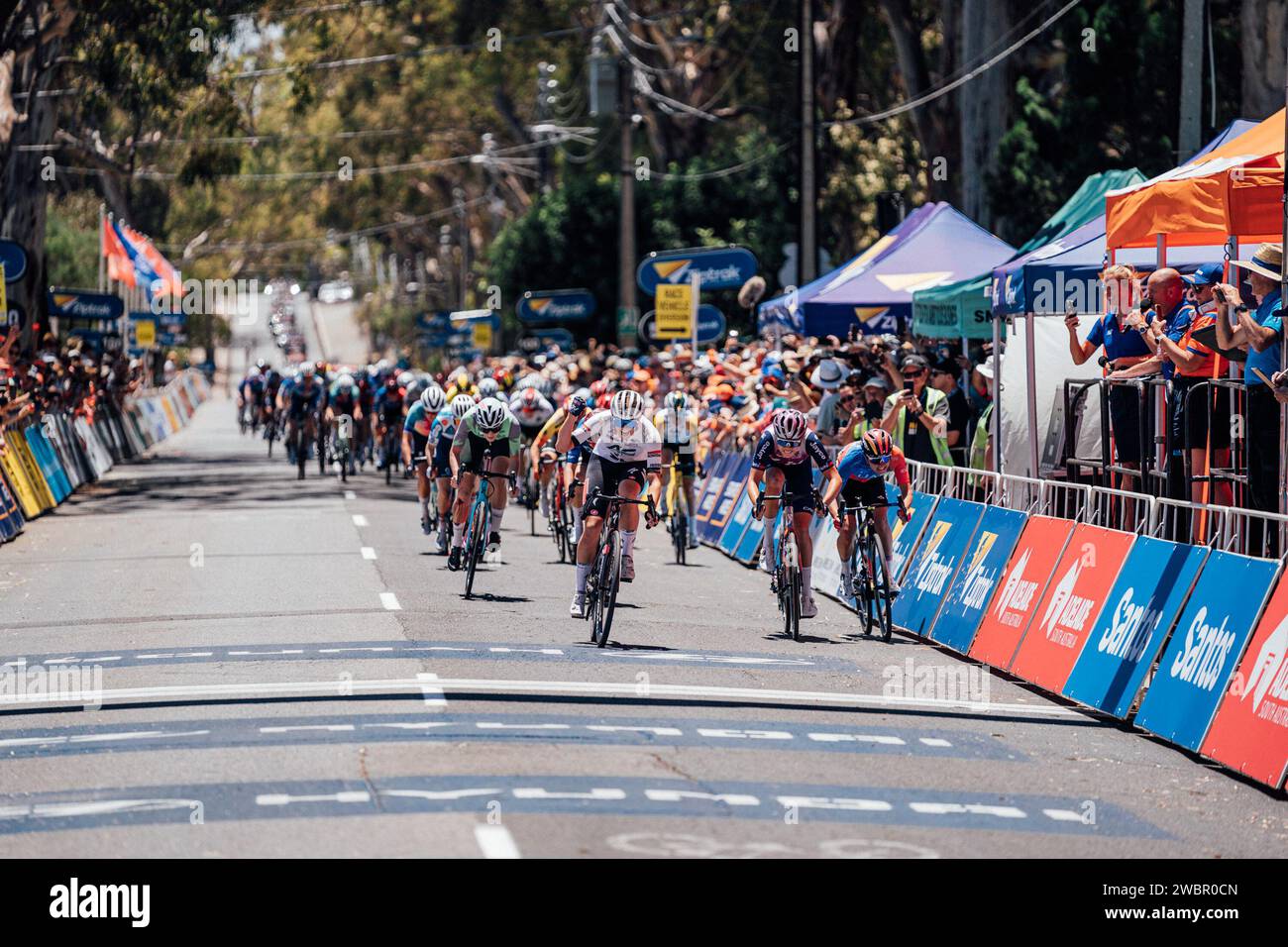 Adelaide, Australia. 12th Jan, 2024. Picture by Zac Williams/SWpix.com ...