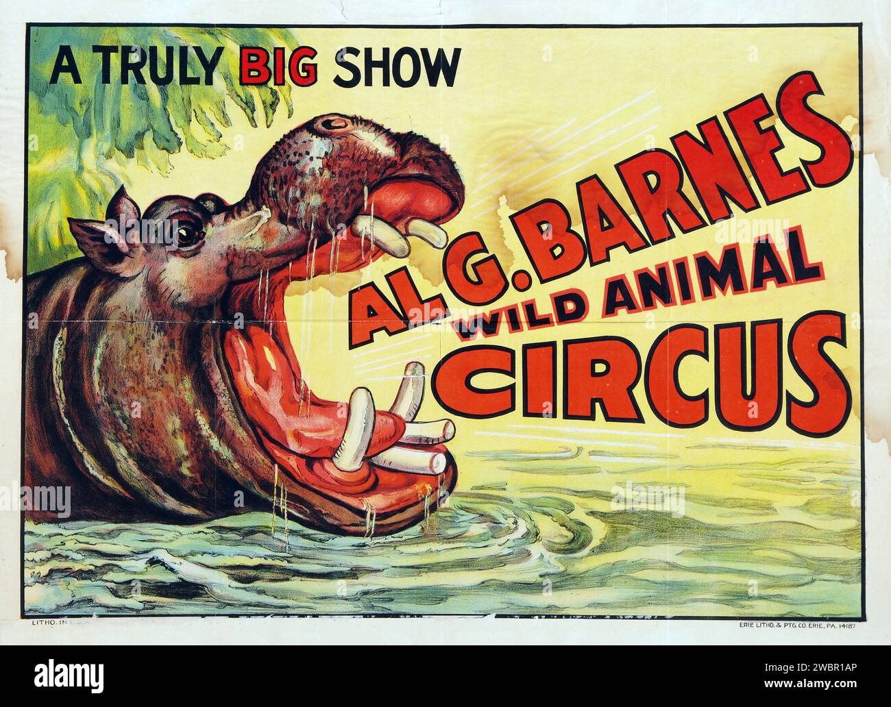 Al G. Barnes Circus Poster (1930s) Wild Animal Circus featuring a ...