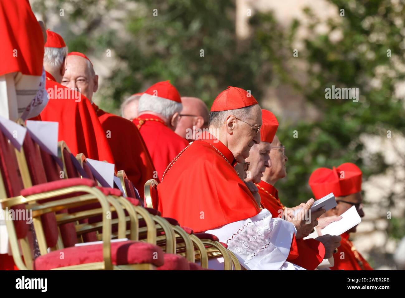 Cardinals wait for the start of a consistory in St. Peter Square at the ...